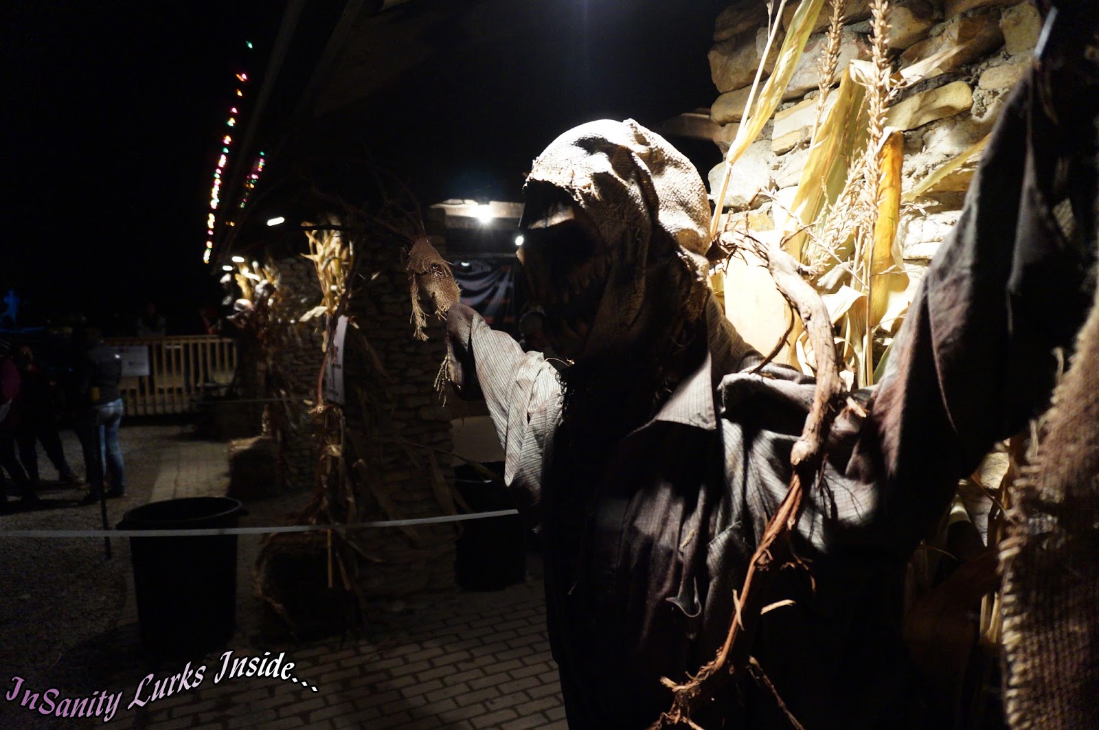 InSanity lurks Inside: Haunt Review- Rich's Fright Farm