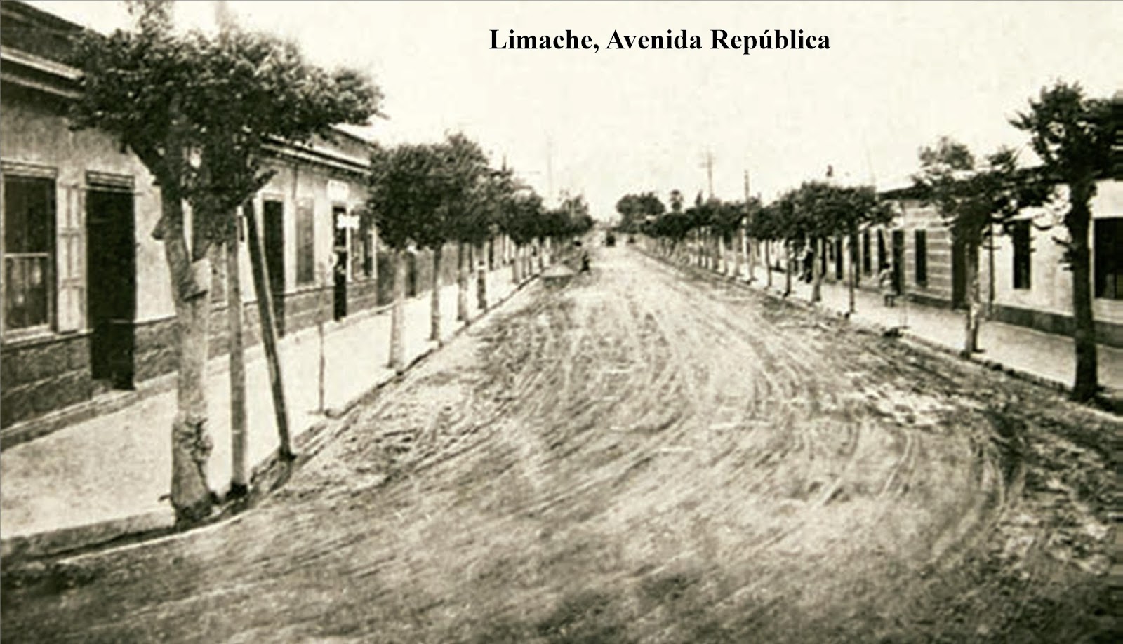 Imágenes de Chile del 1900: Limache y Olmué
