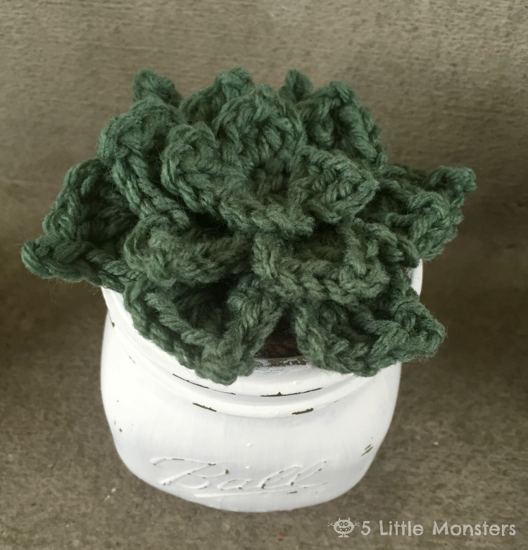Succulent Coaster Crochet Pattern Free Cactus - Hobby Habitat Hub