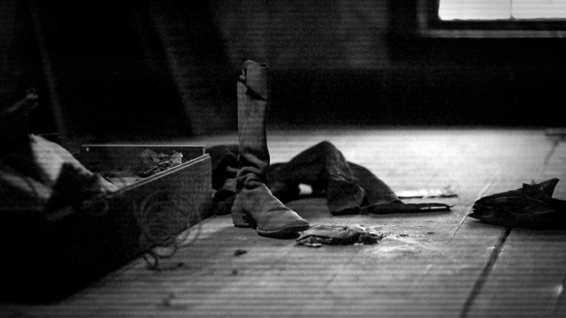 Gilbert Curiosities: Being Human and Haunted Collector Recaps