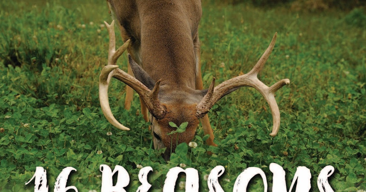 Whitetail Institute: 16 Reasons Why I Love Imperial Whitetail Clover