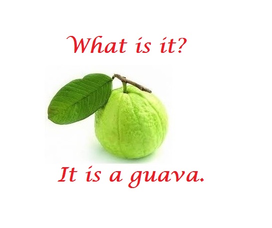 ENGLISH FOR ALL OF YOU