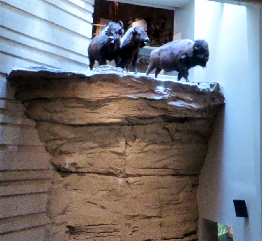 The Accidental RVers: Head Smashed In Buffalo Jump - A UNESCO World ...