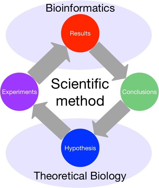 Philip Gerlee's Research: Mathematical biology or Bioinformatics