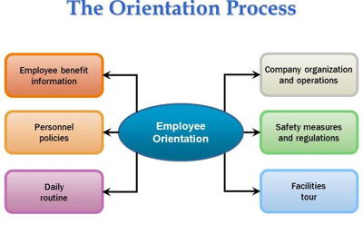 What Is The Difference Between Orientation And Training