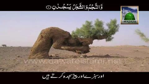 Beautiful and Amazing Pictures: Beautiful and Amazing Pictures