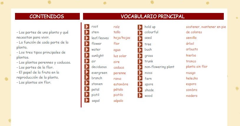 Bilingual Team: UNIT 4: PLANTS (year 2)