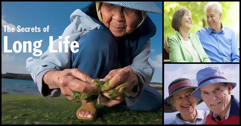 The Key To Live A Long And Cancer-Free Life | Dr Farrah MD