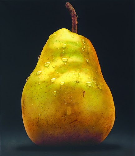 EL HOTEL DE LAS PINTURAS Y OTRAS HISTORIAS...: RAY HARE...