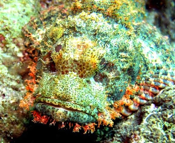 Viaje al infinito : Cuidado con las "rocas" que pisas..