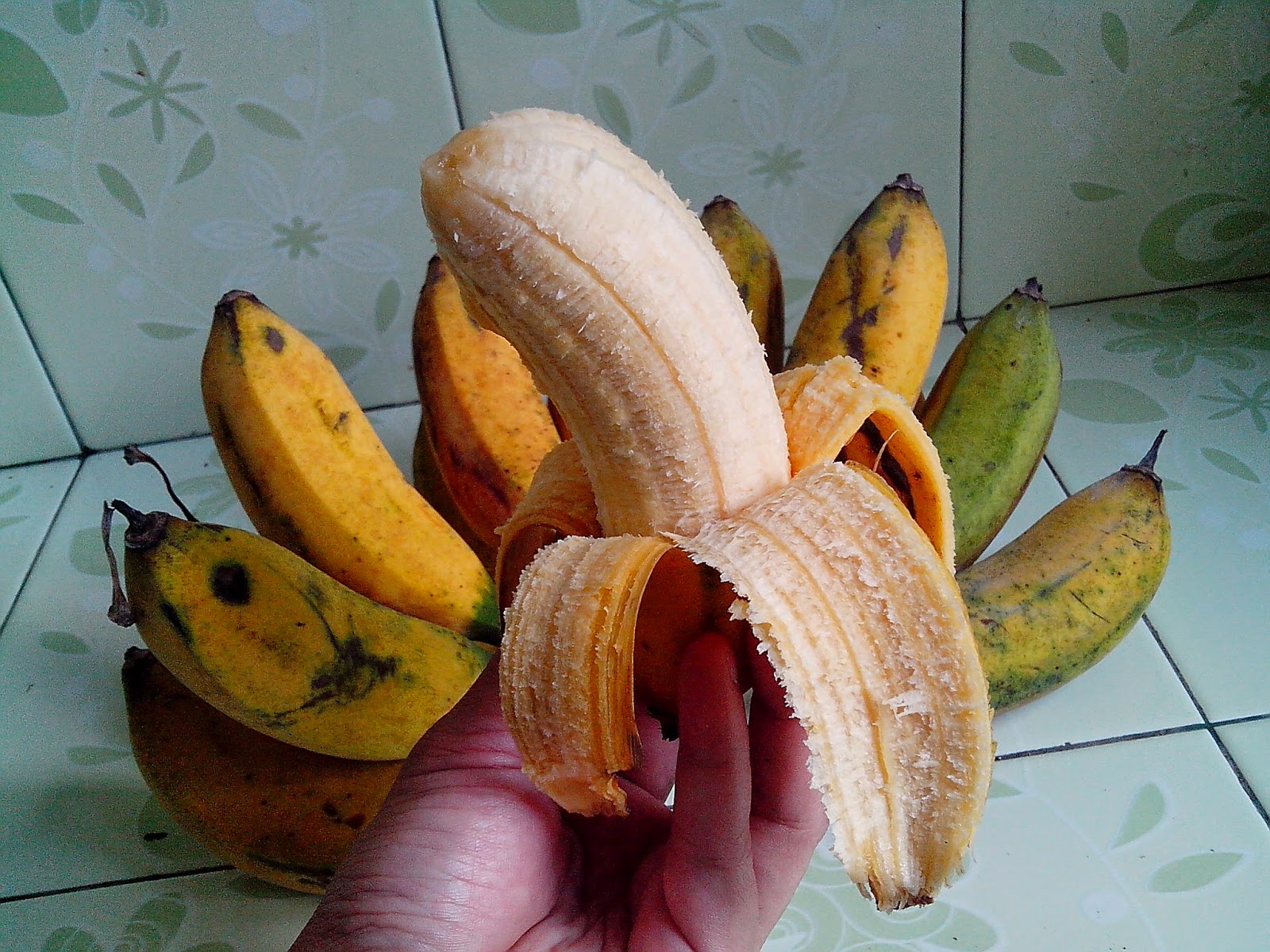 Endah Murniyati's Journey: FRUITY FRIDAY : PISANG RAJA IJO