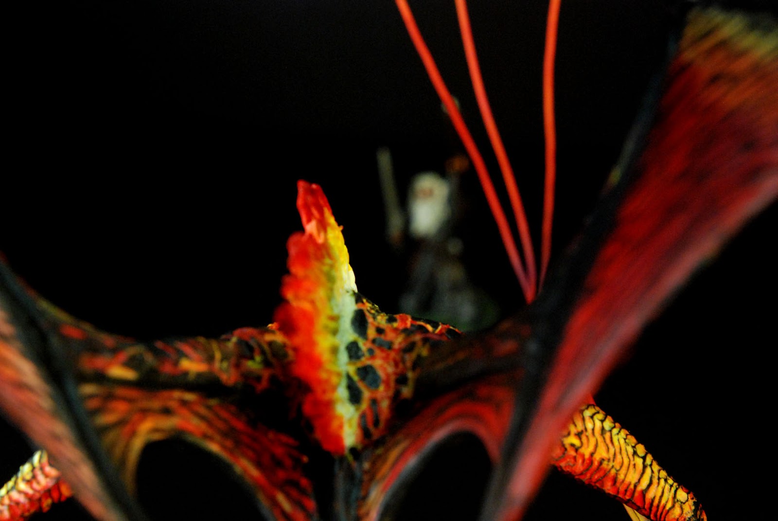 Miniatures - Μινιατουρες: The Balrog of Moria - Ο Μπαλρόγκ της Μόρια