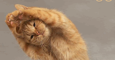 COSAS PARA COMPARTIR : gif graciosos