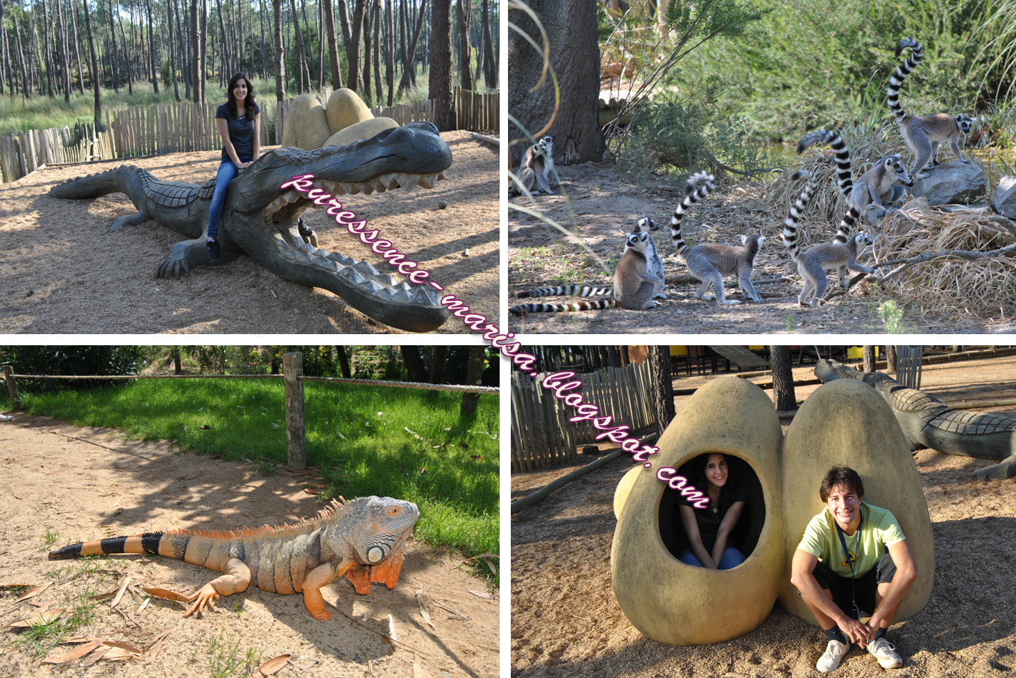 PurEssence : Badoca Safari Park