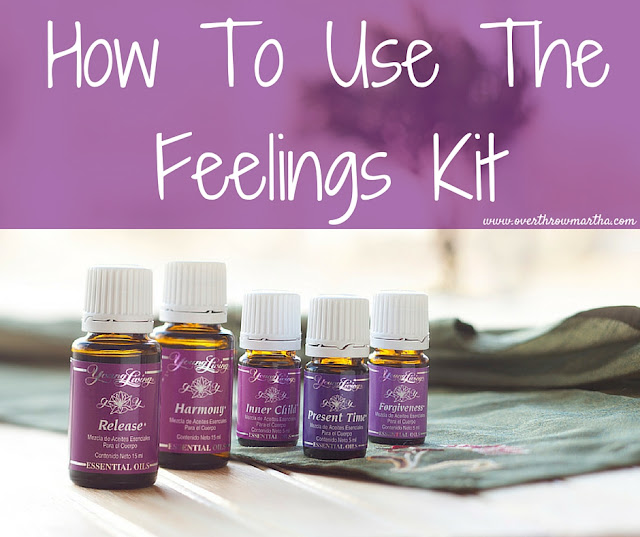 How To Use The Feelings Kit - Overthrow Martha