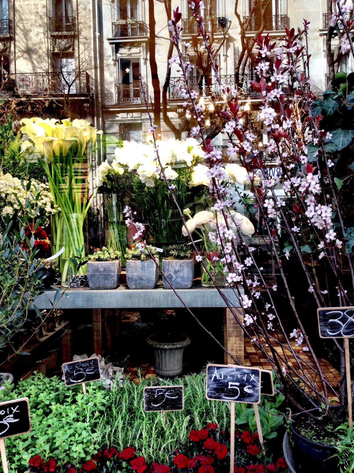 Focus On Paris: Spring flowers