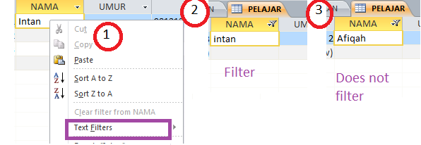 Intan Sofea : FUNGSI FIND, SORT DAN FILTER