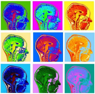 Sapere Aude: Andy Warhol para neurocientificos.