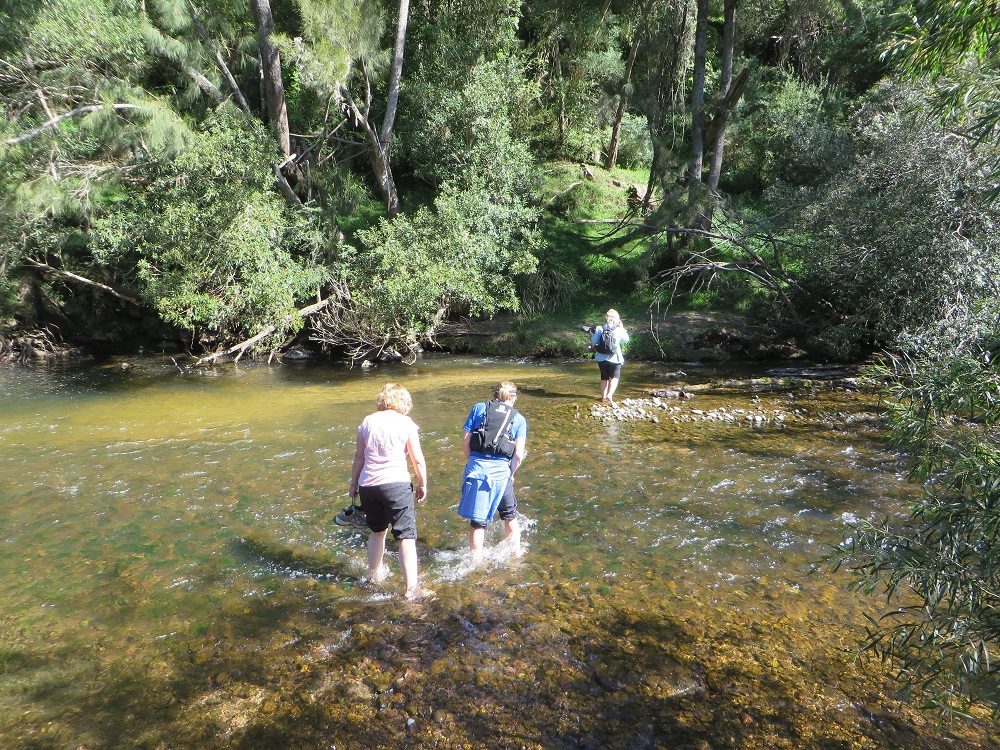 Bega Valley Bushwalkers 2015 archive: 27 September - Along the Brogo River