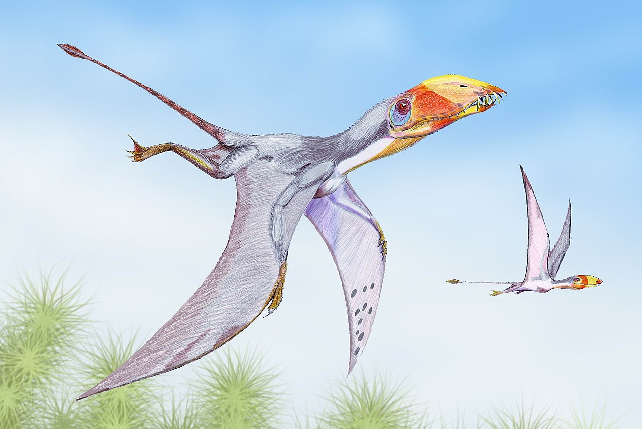 d4 Caltrops: OSE Encounter Activities - Pterosaur