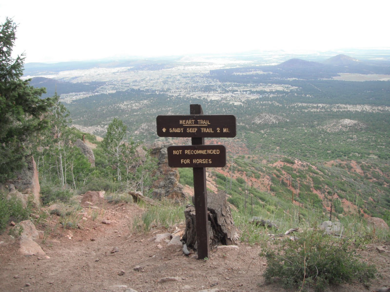 Travel Tales: Mount Elden Loop Hike - Flagstaff AZ