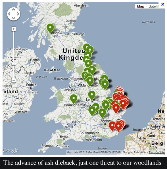 Save Thorpe Woodlands: January 2013