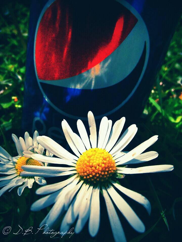 Spring & Pepsi