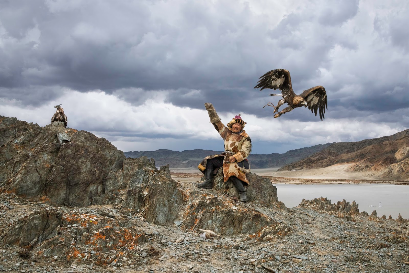 #CriticARTe - Steve McCurry "Animals" al Mudec | CriticaLetteraria