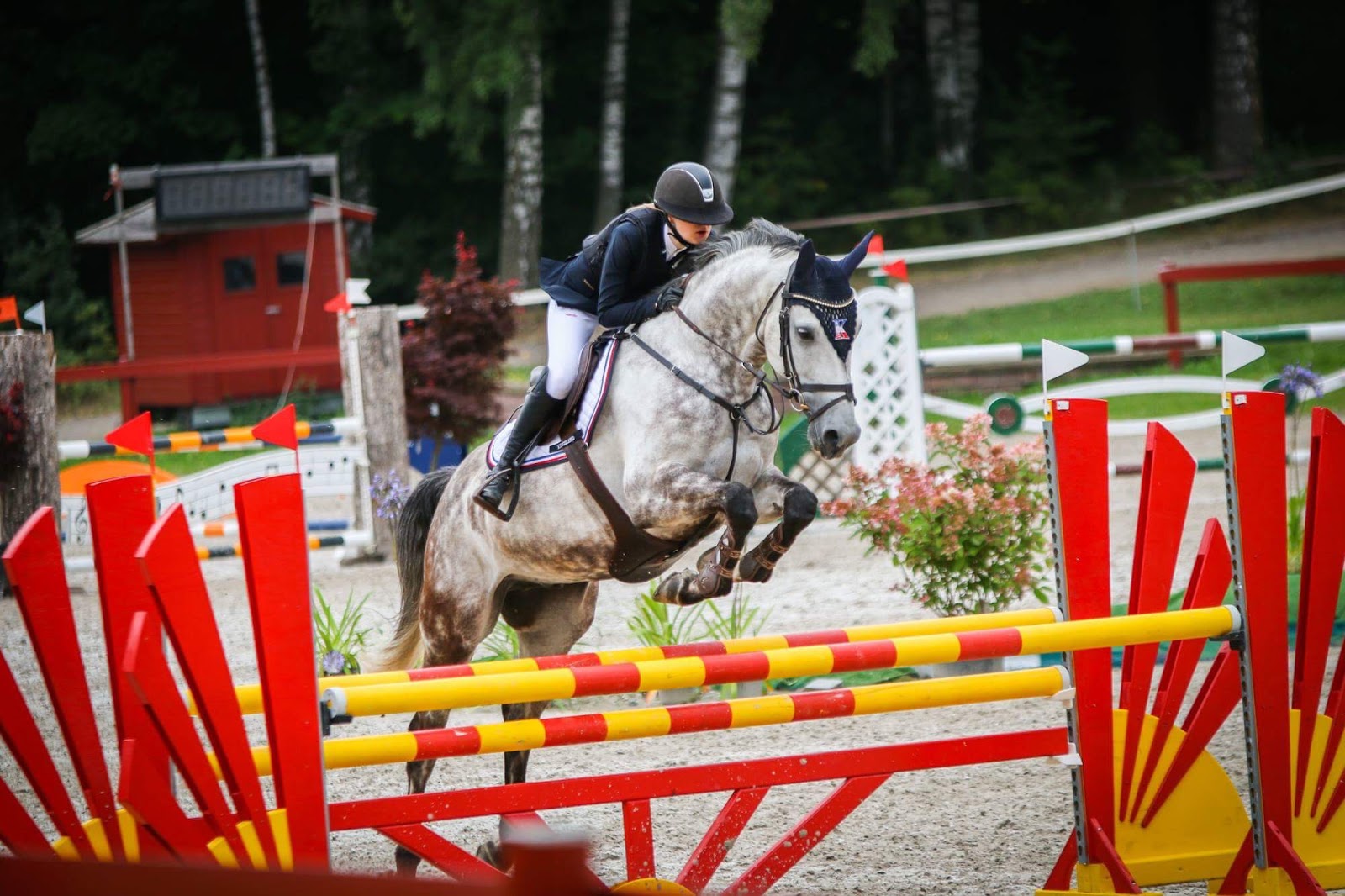 Buskerud videregående skole, Naturbruk og Heste- og hovslagerfaget ...