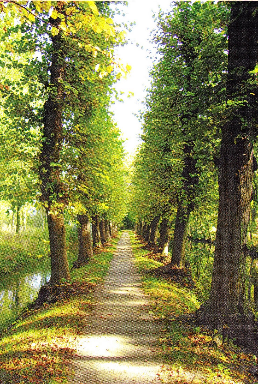 Wiep Koehoorn: Ierse zegen van St. Patrick voor reizigers
