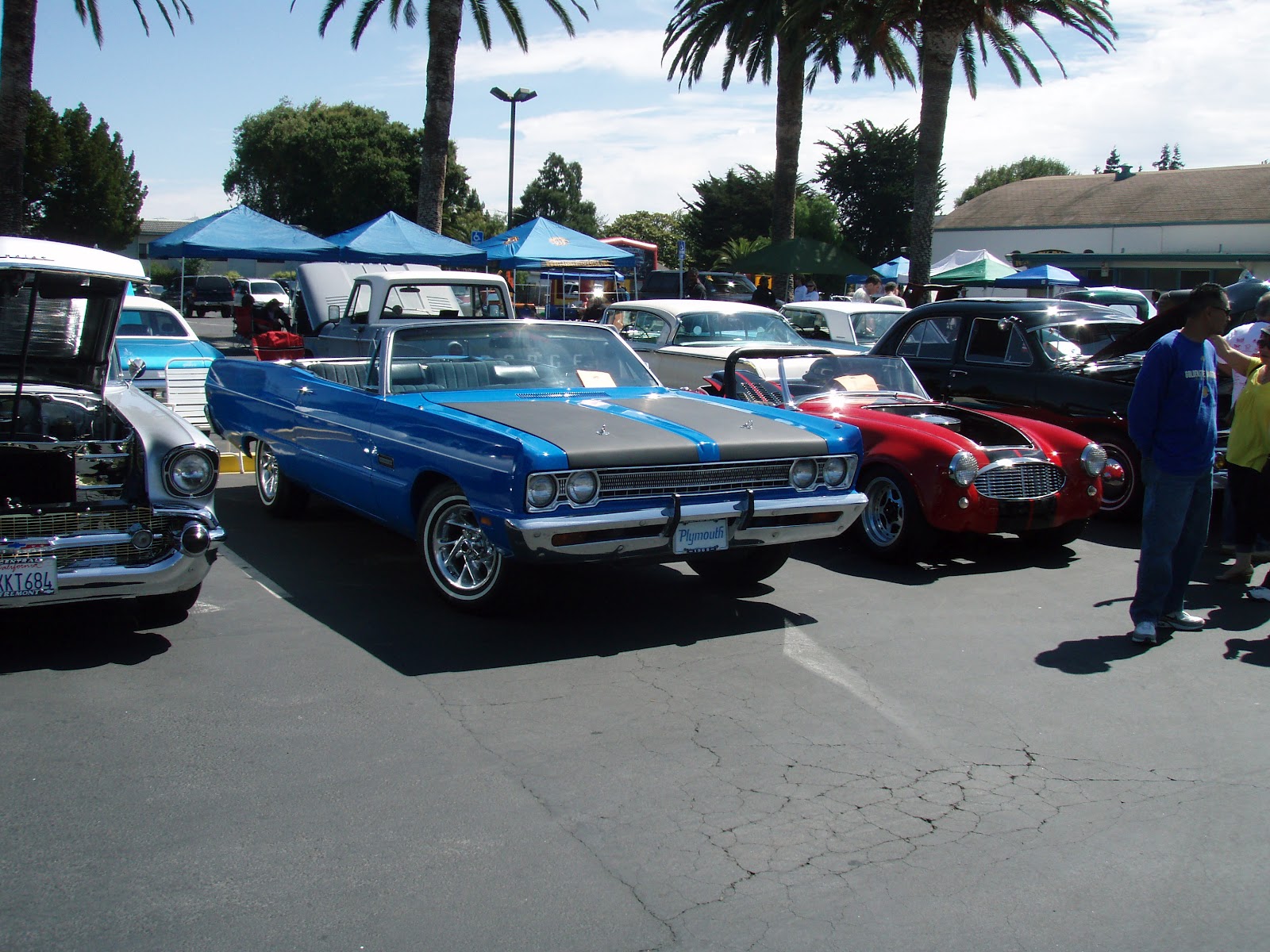 Auto Body-Collision Repair-Car Paint in Fremont-Hayward-Union City-San ...