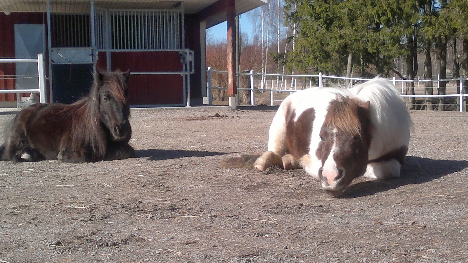 Tapahtumarikas Tallimme!