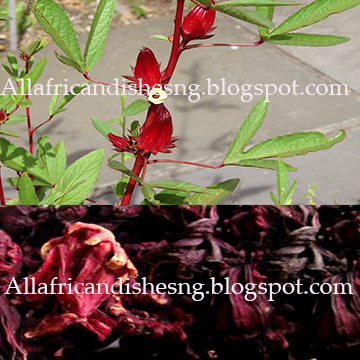 ALL AFRICAN DISHES: IMPORTANCE OF ZOBO LEAVES