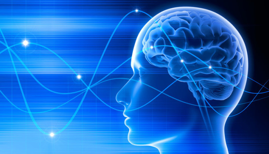 Laxmi Homeo Clinic: Marvel Brain and its Dysfunctions