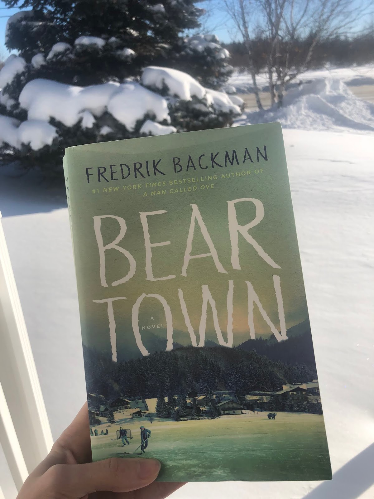 Beartown by Fredrik Backman Review | Book Obsessed Introverts