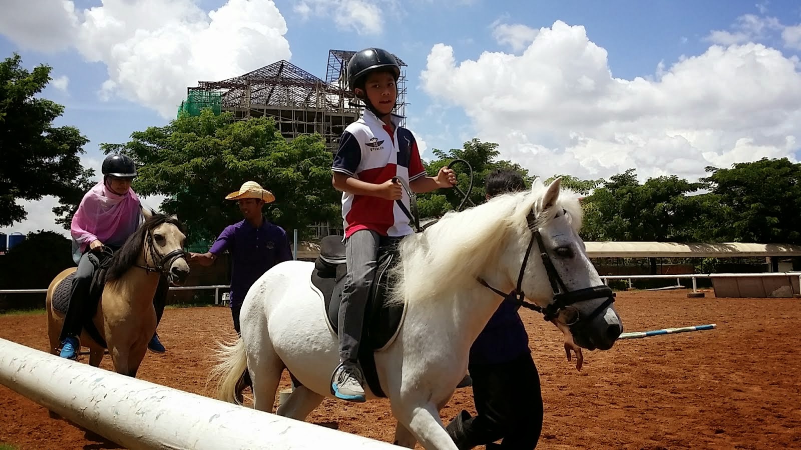 The world according to stercus accidit