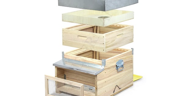 CORONA APICULTORES: MEDIDAS DE DIFERENTES TIPOS DE COLMENAS VERTICALES