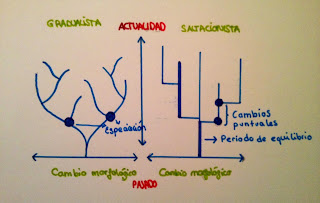 Biología para 4ESO: febrero 2014