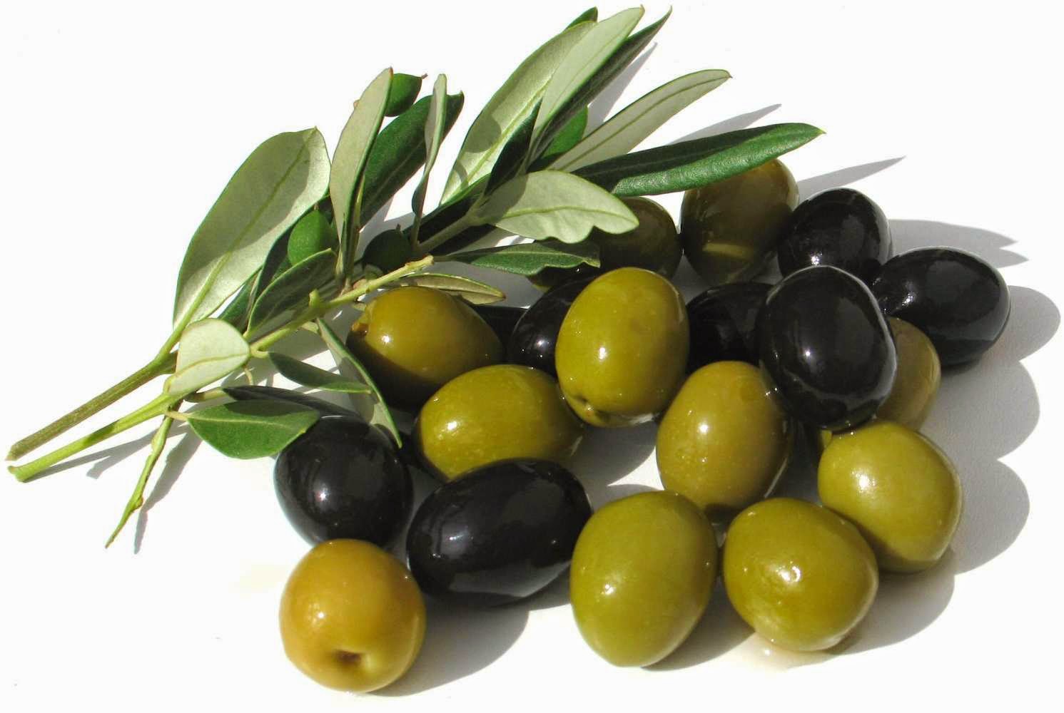 XIOS_VITRINE: ΦΑΡΜΑΚΟ ΑΠΟ ΤΟ ΚΟΥΚΟΥΤΣΙ ΕΛΙΑΣ