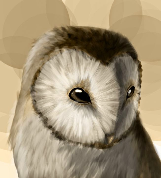 GIFS ANIMADOS: Buhos