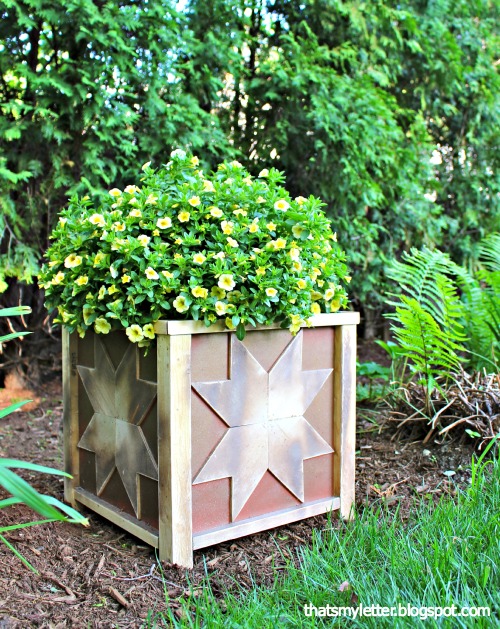 DIY Star Planter - Jaime Costiglio
