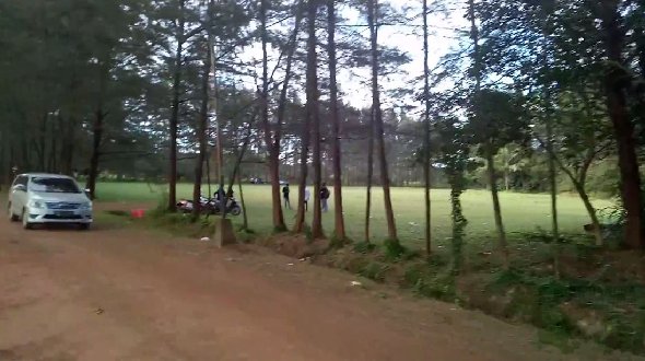 Review: Inilah Keseruan Liburan ke Bangka Botanical Garden ...