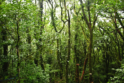 Lakbay LENTE: Mt. Cristobal, The Devil's Mountain