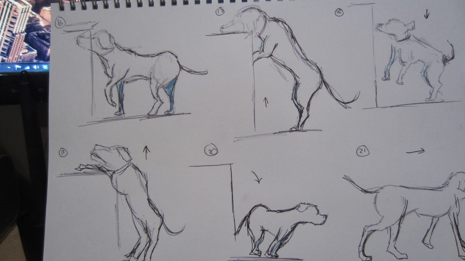 Andymotion Blog: Storyboard and more references - Dog Animation Part 2