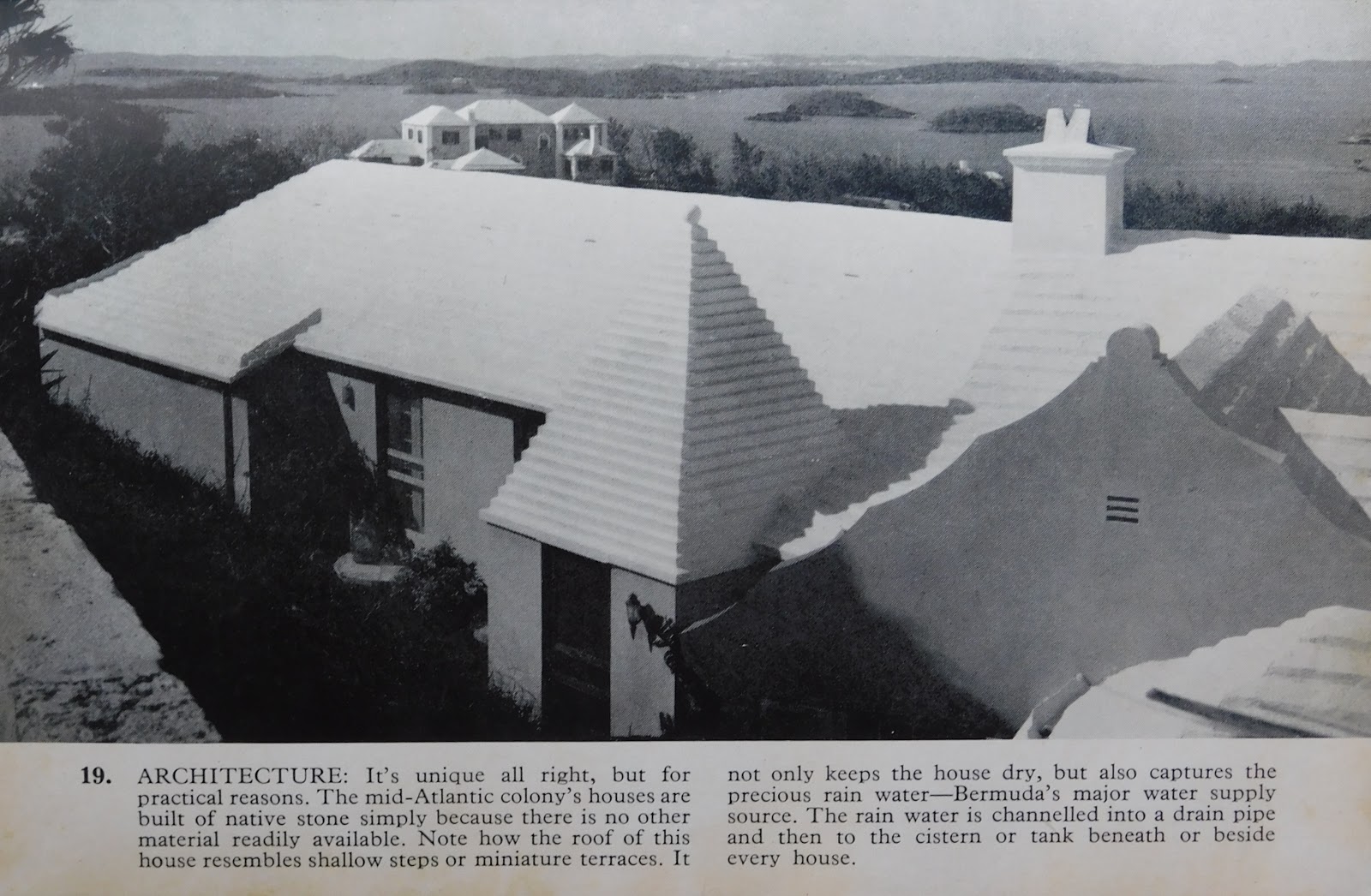 Corfu Blues and Global Views: Bermuda Stone, Two Old Photos, Cutting ...