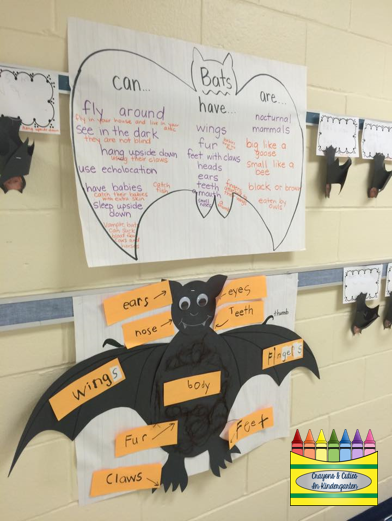 Crayons & Cuties In Kindergarten: We Went 'Batty!'