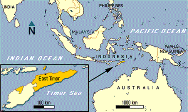 Big Blue 1840-1940: Timor
