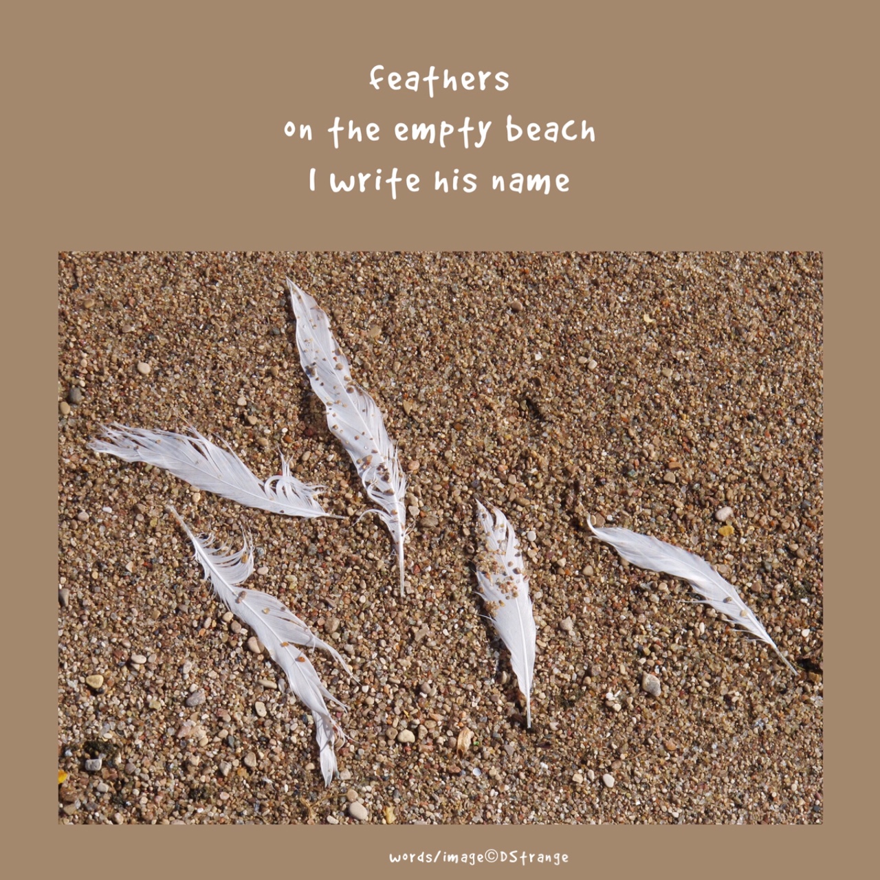 Warp and Weft ~ Images and Words: Hedgerow Poems, Number 116, June 2017