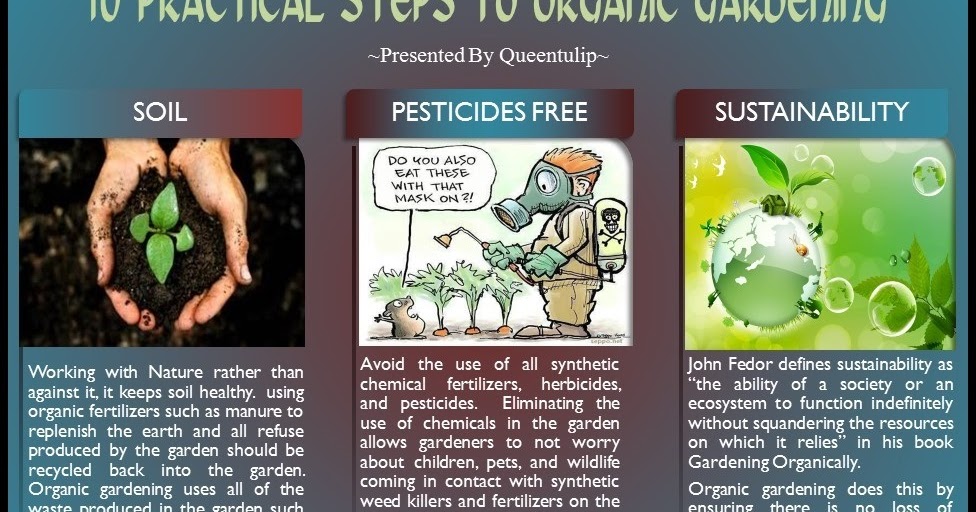 10 Practical Steps to Organic Gardening Infographic | Queentulip
