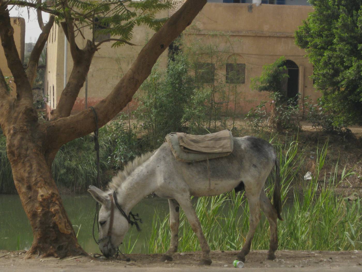Shari's Chocolate Box: April 2011